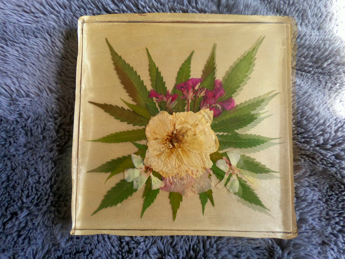 2021 Botanical Mandala Art Collection "Psyfer" – Cosmic Fractal Magnitudes